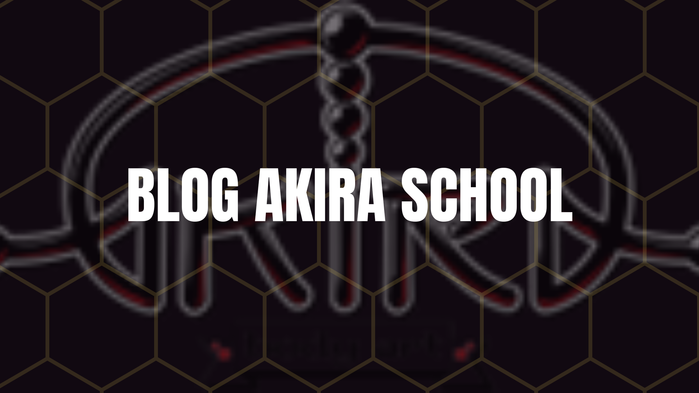 BLOG - Akira Formación